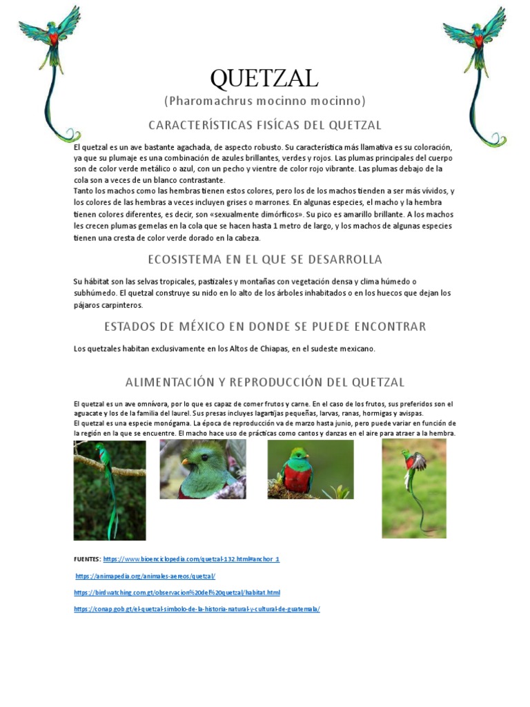 QUETZAL | PDF
