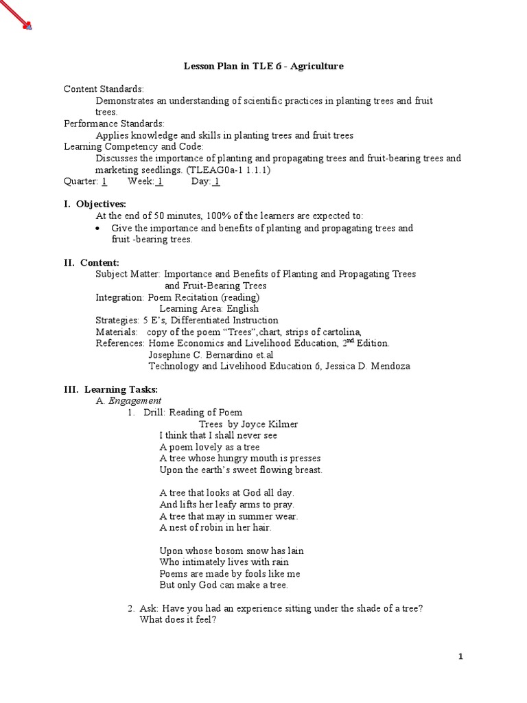 Lesson Plan in TLE 6 - Agriculture | PDF | Fertilizer | Soil