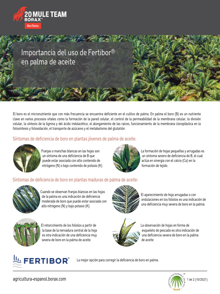 Fertibor Palm Oil Es | PDF | Calcio | Hoja