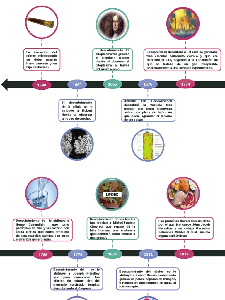 Hitos de Biología Celular y Molecular C.C | PDF | Biología Celular) | Bioquímica