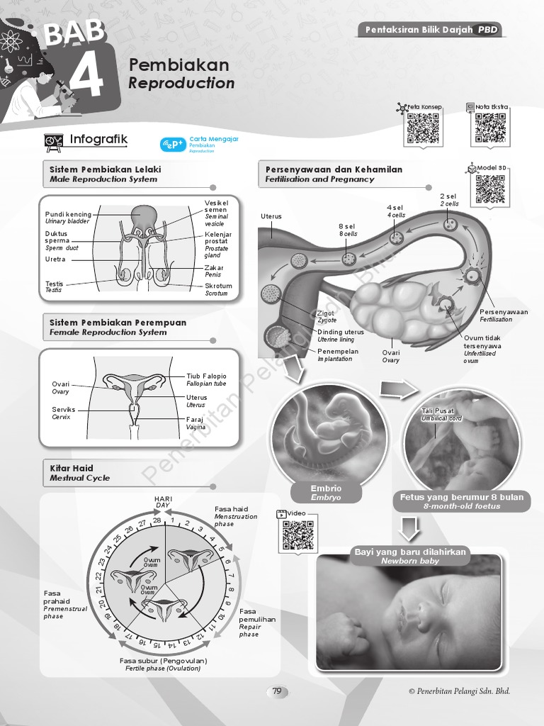 06 Bab 4 Pembiakan | PDF