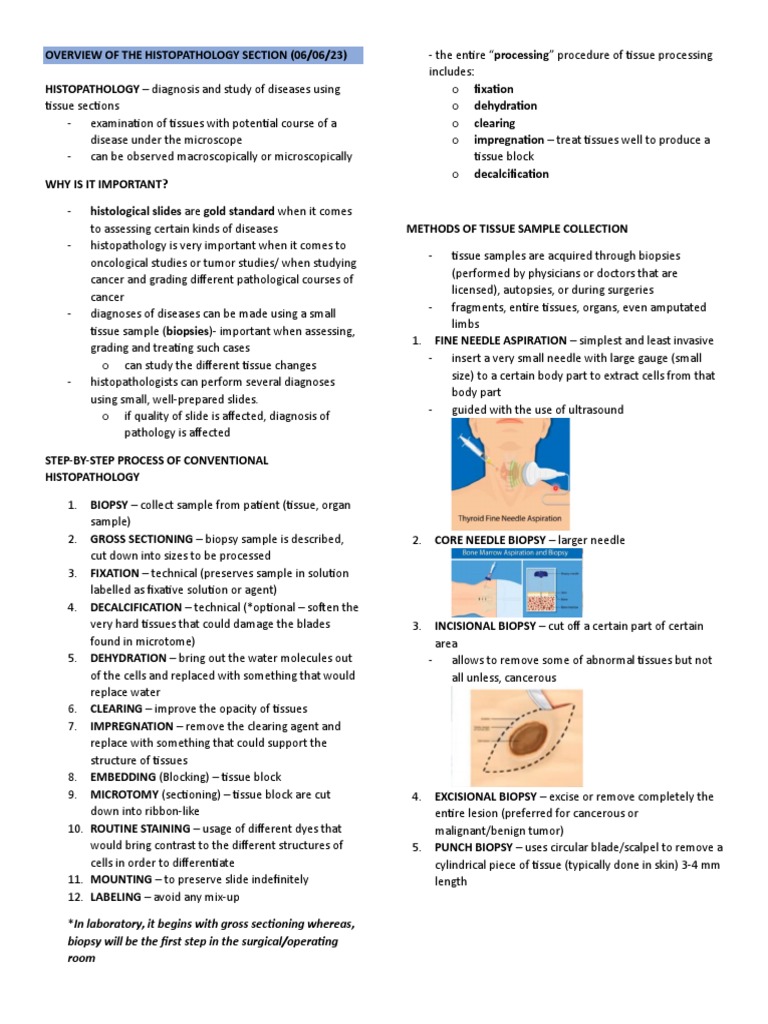 Hstcyt1 Lcc1 Short Term Notes | Download Free PDF | Fixation (Histology ...