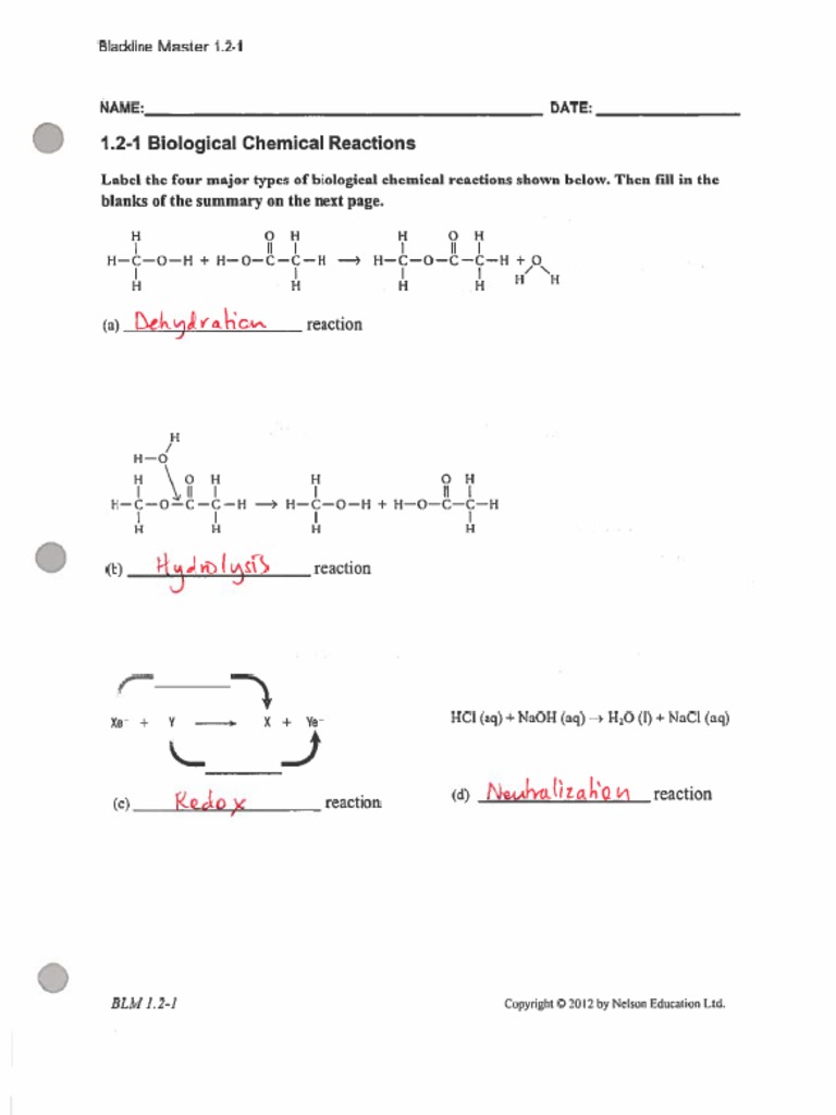 Chemical Reactions Answers | PDF