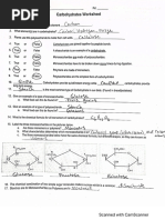 Macromolecules Worksheet Answer Key | PDF | Carbohydrates | Polysaccharide