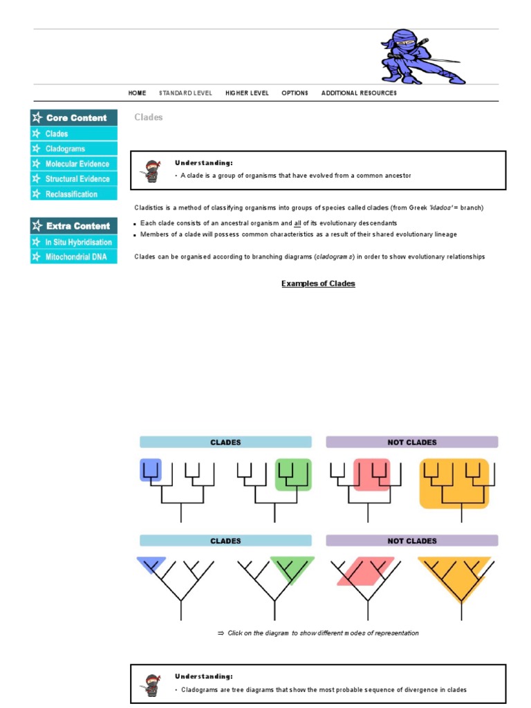 1 Clades - BioNinja | PDF | Philosophy