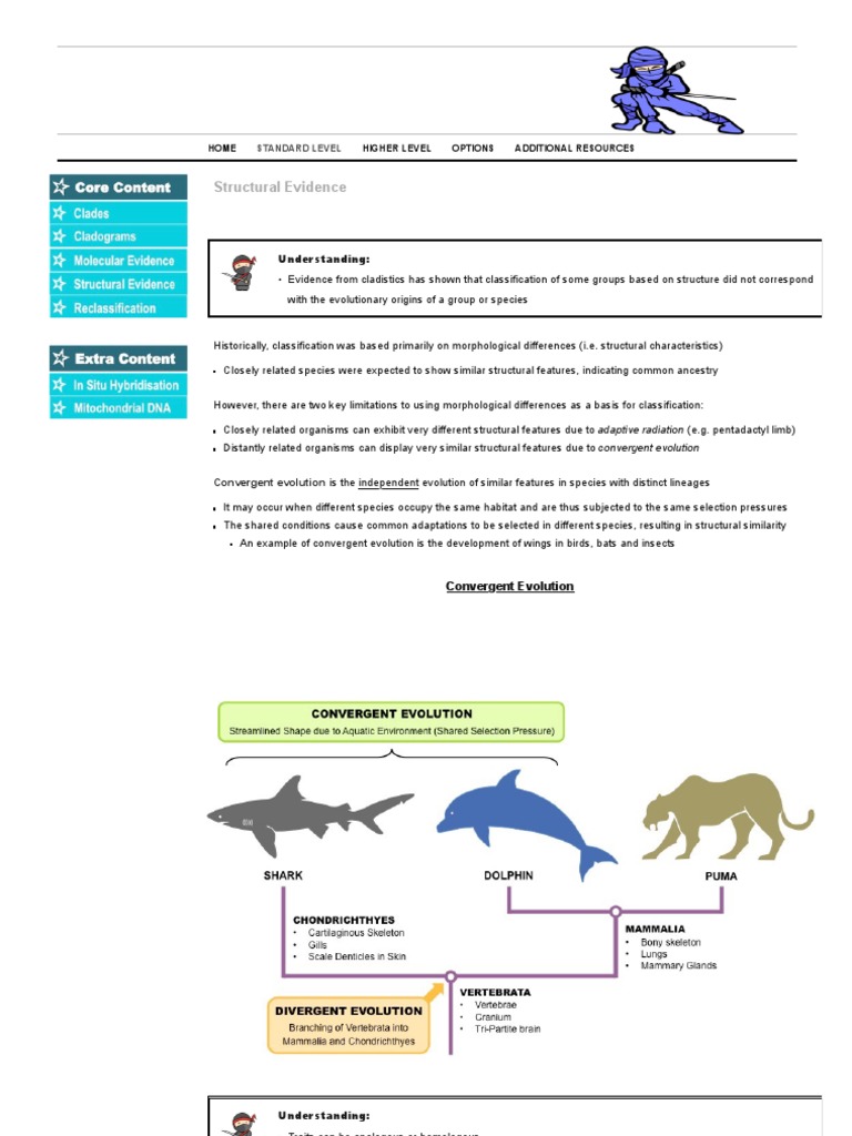4 Structural Evidence - BioNinja | PDF