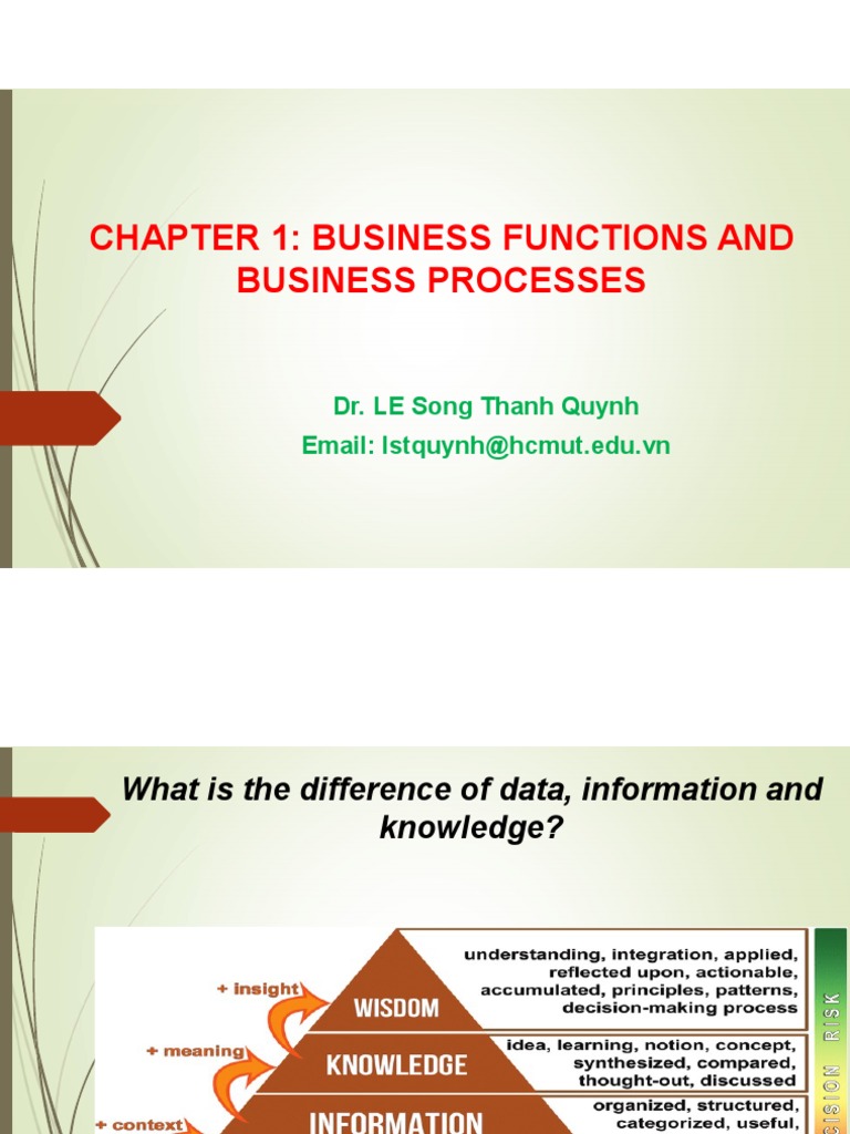 Business Functions and Processes Explained | PDF