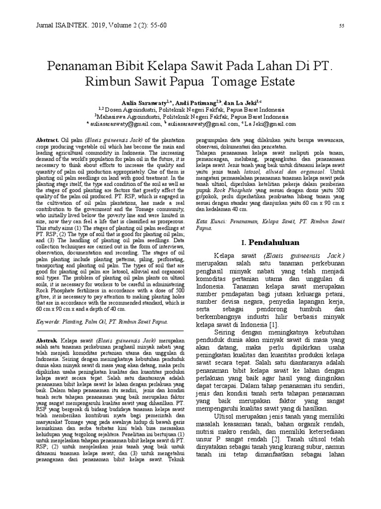 Penanaman Bibit Kelapa Sawit Pada Lahan Di PT. Rimbun Sawit Papua ...