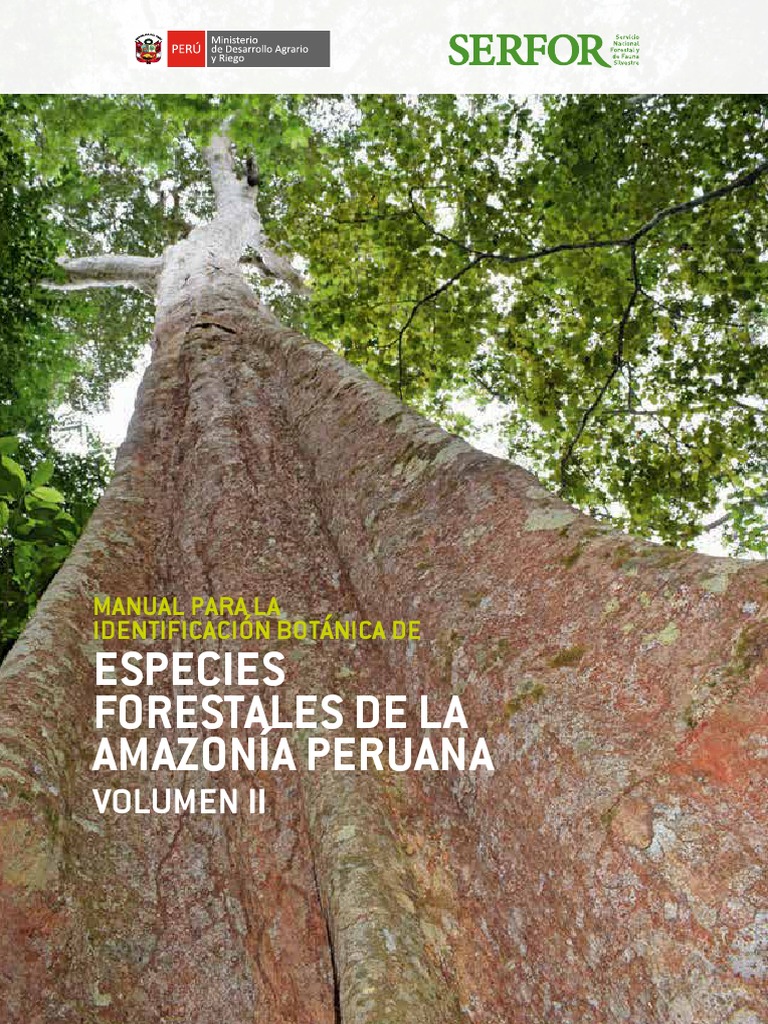 Manual para La Identificación de Especies Forestales de La Amazonía Peruana. Volumen II | PDF ...