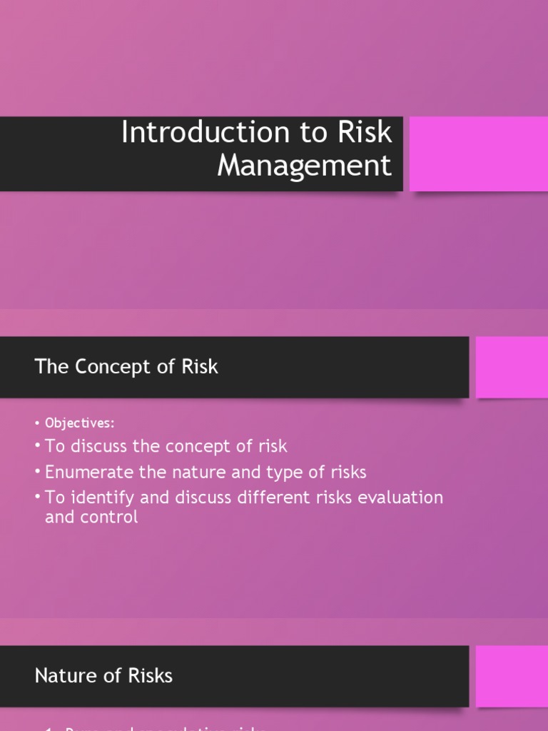Introduction To Risk Management | PDF | Career & Growth