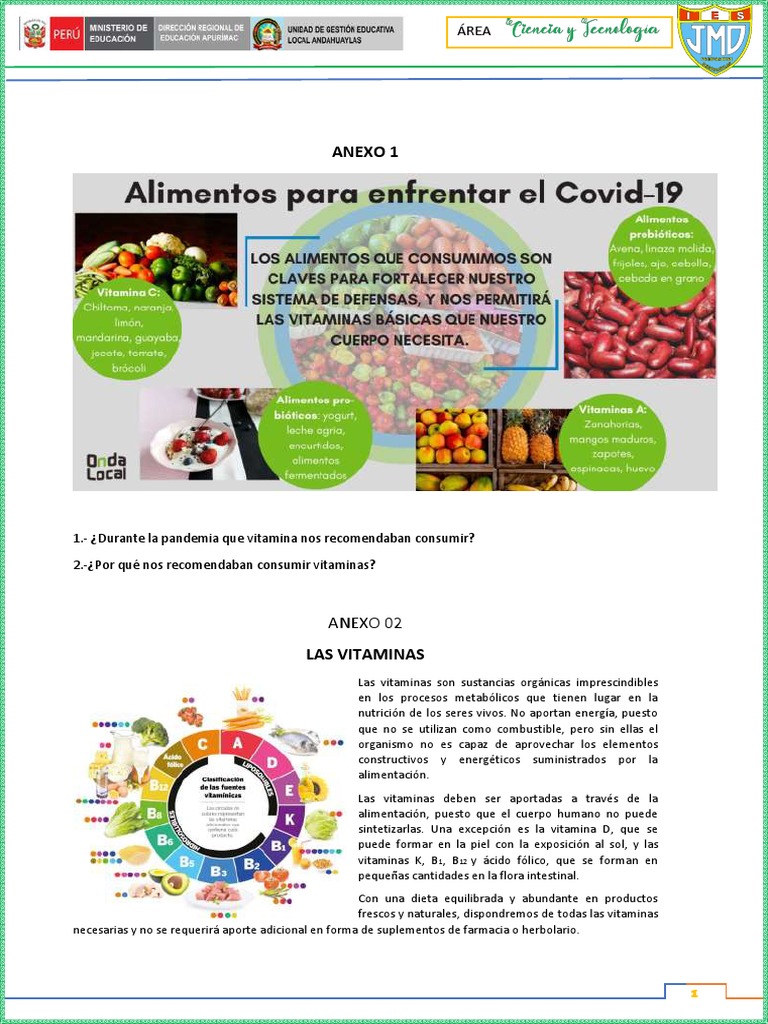 Ejemplos de Vitaminas y sus Funciones | PDF | Vitamina | Alimentos