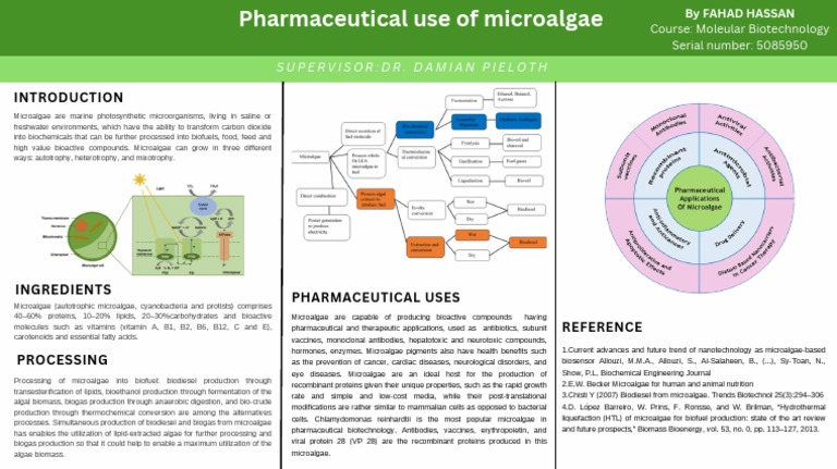 Final Poster | PDF | Biofuel | Algae