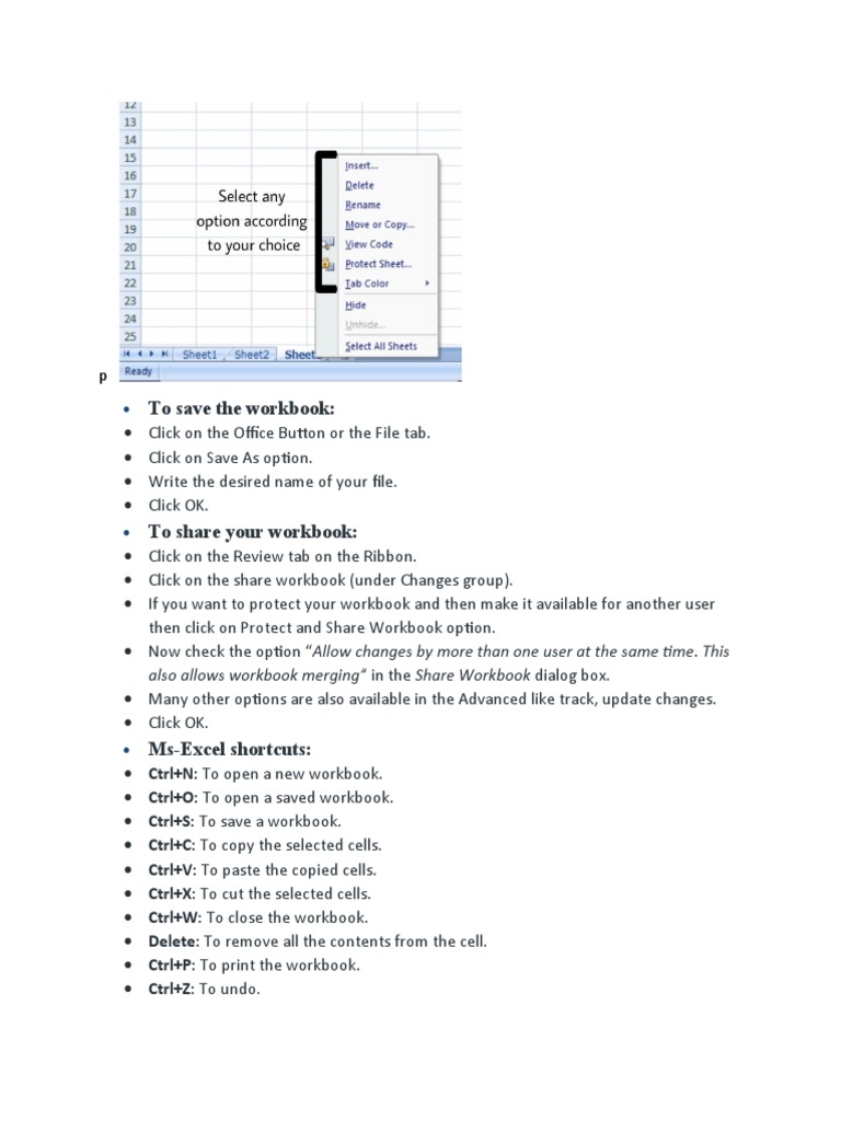 Excel Workbook Management Guide | PDF