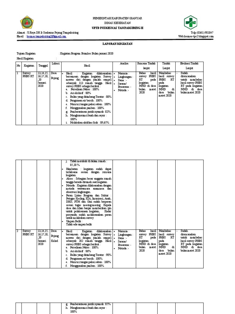 Laporan Kegiatan Survey PHBS RT 2020 | PDF