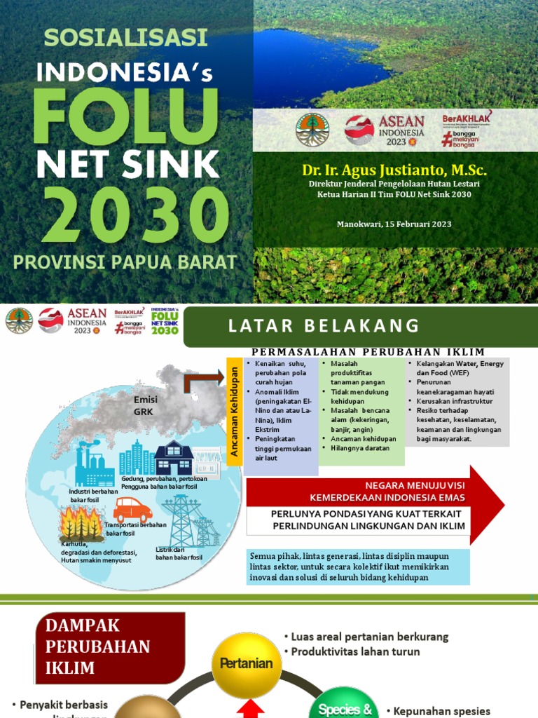 FOLU Net Sink 2030: Strategi Indonesia | PDF