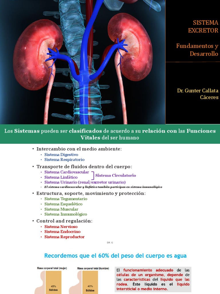 Sesi N 1 - PPT | PDF