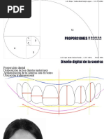 Principios PPR Apoyos, Retenedor Directo e Indirecto | PDF | Dentadura ...