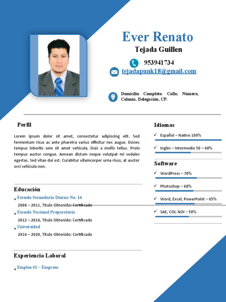 Plantilla CV 3 | PDF