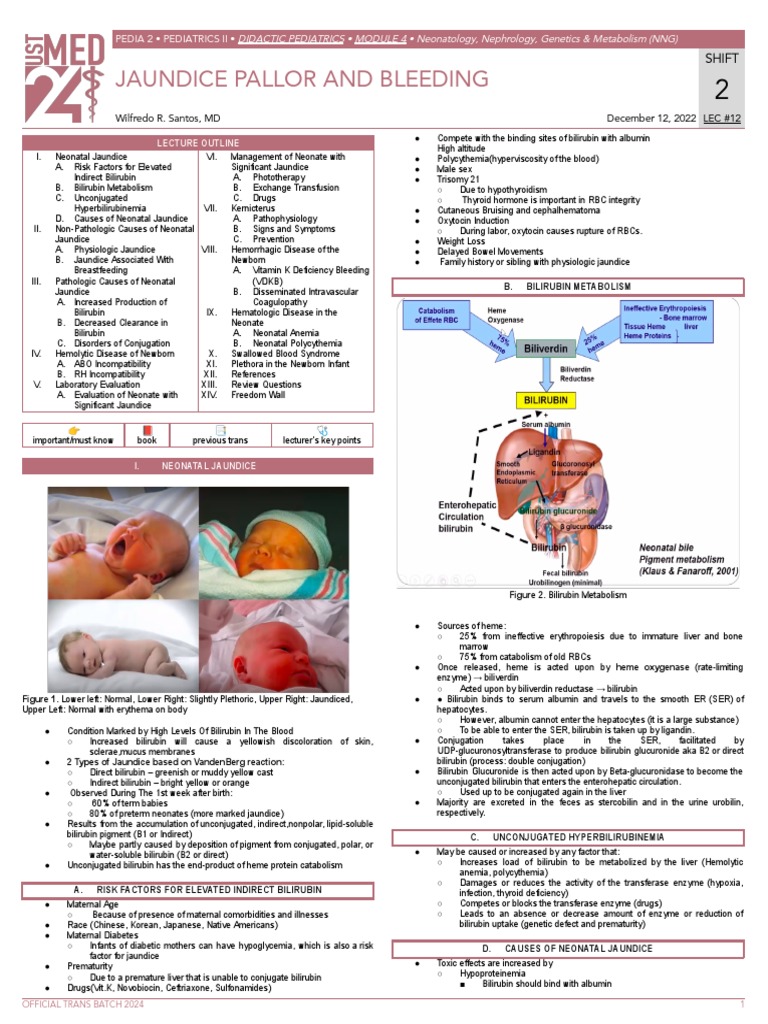 Ped.s2.nng.12.jaundice Pallor and Bleeding | Download Free PDF ...