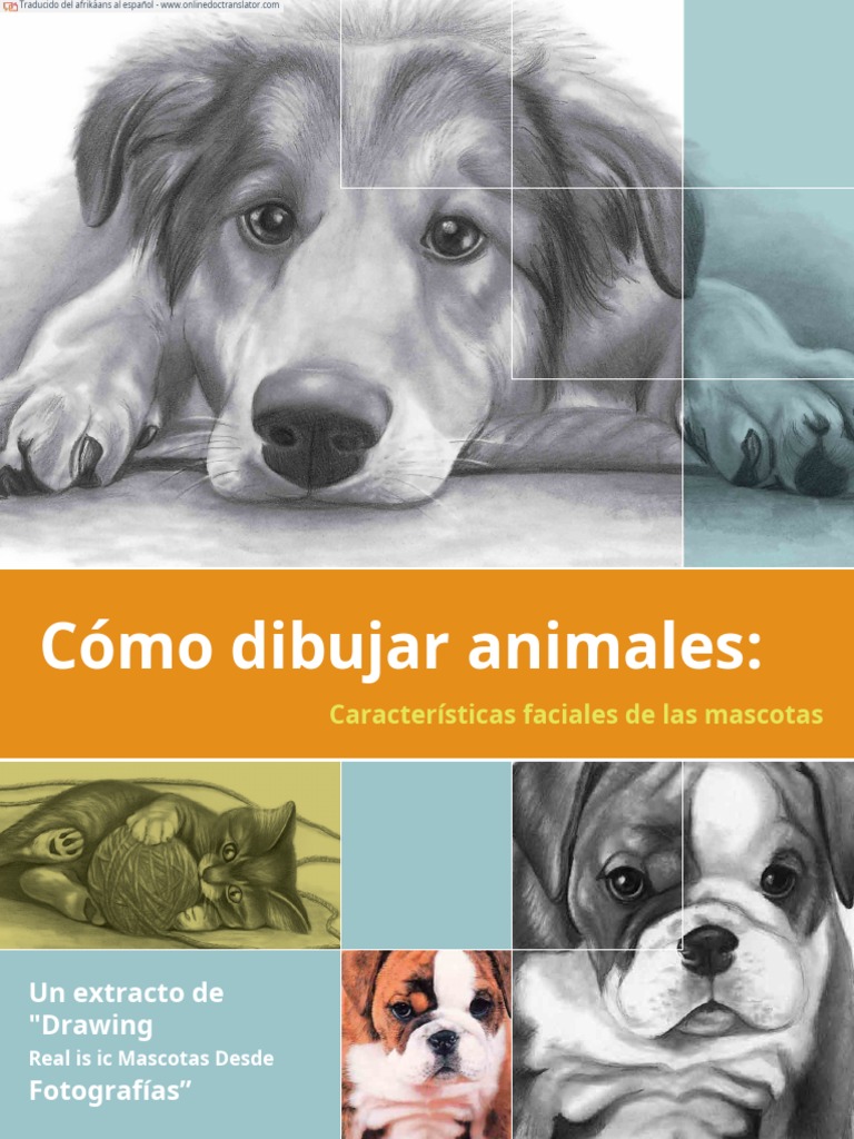 Cómo Dibujar Animales Realistas | PDF