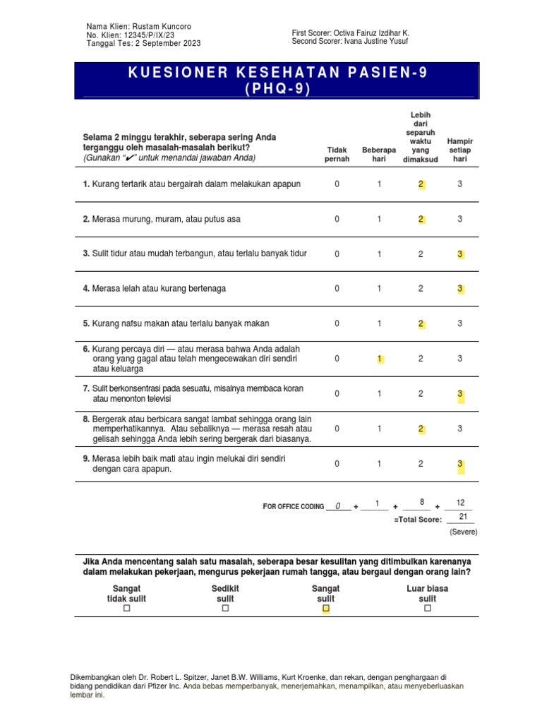 Template PHQ 9 | PDF