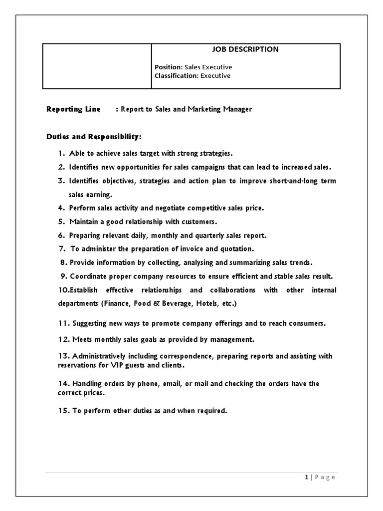 Sales Executive Job Description and Duties | PDF