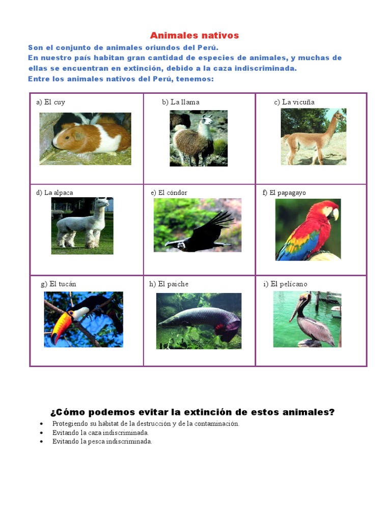 Animales Exoticos | PDF