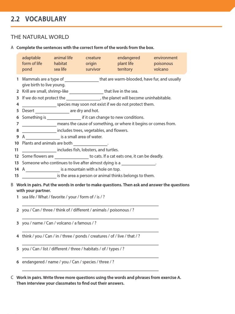 BUS Program Evolve 5 Lesson Plan 2 Handout 2 | PDF