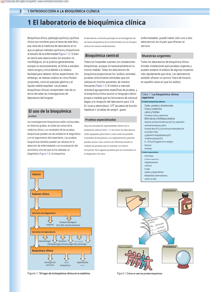 Laboratorio de Bioquímica Clínica - En.es | PDF