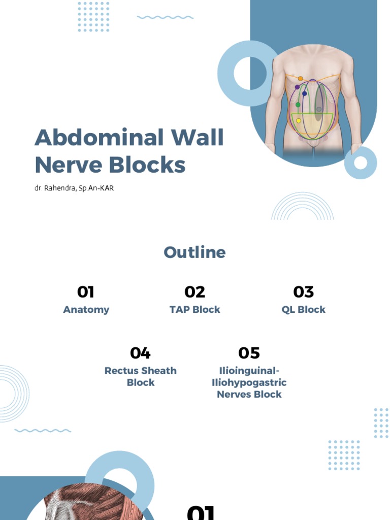 Abdominal Wall Nerve Blocks | PDF | Abdomen | Nervous System