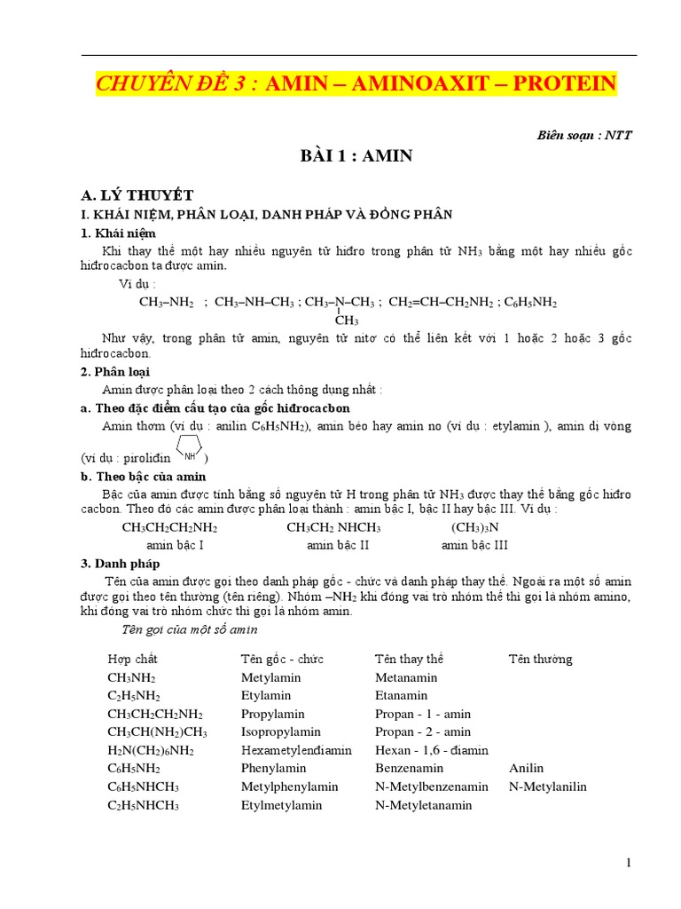 Amin Amino Protein | PDF