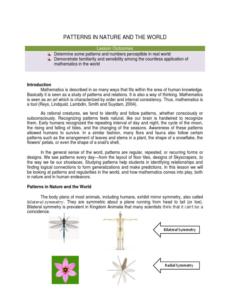1 Patterns in Nature and The World | Download Free PDF | Pattern | Symmetry