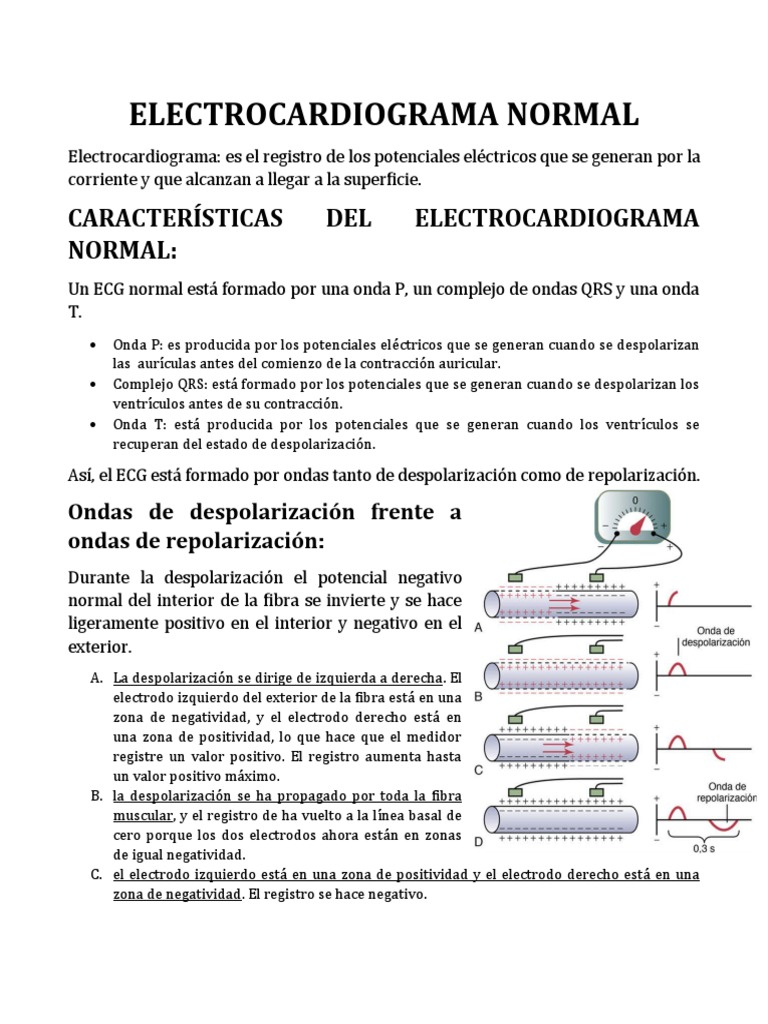 Guía del Electrocardiograma Normal | PDF | Electrocardiografia | Corazón