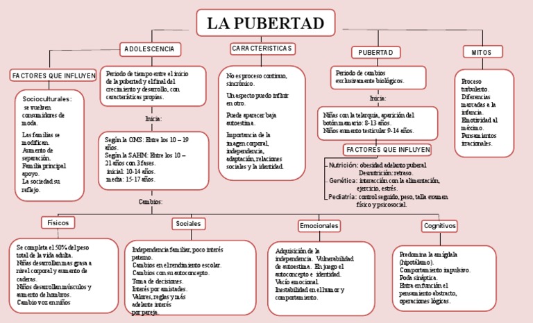 Mapa Conceptual de La Pubertad | PDF | Pubertad | Adolescencia