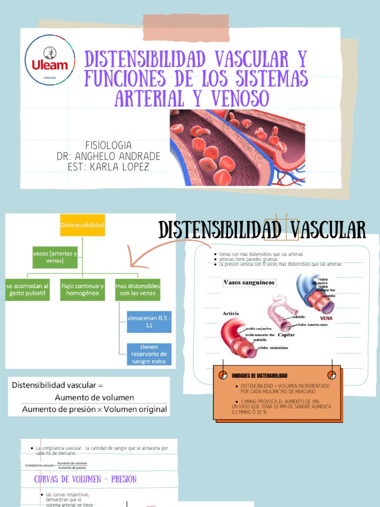 CAP 15 Y 17 - Compressed | PDF | Vena | Artería