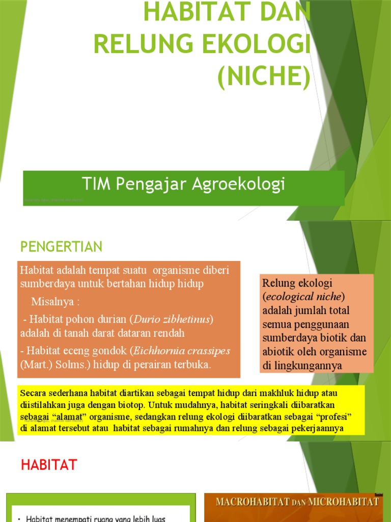 Habitat Dan Relung Ekologi Naa | PDF | Teknologi & Rekayasa