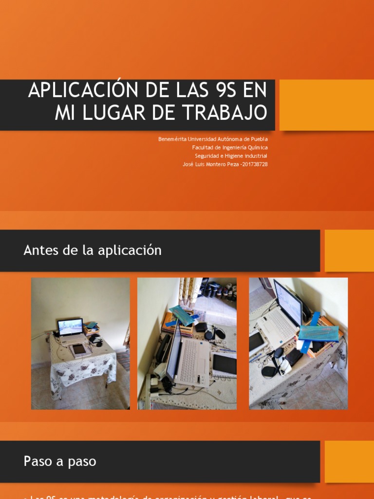 Aplicación de Las 9S | PDF | Relaciones personales, crianza y desarrollo personal