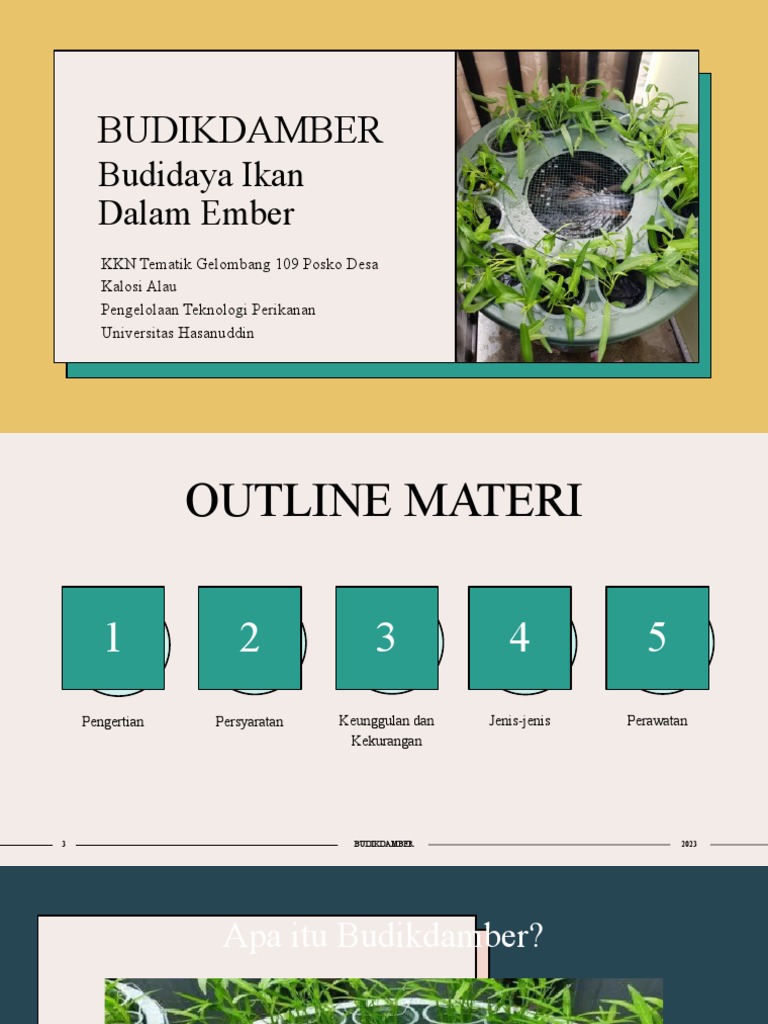 Budidaya Ikan Dalam Ember | PDF