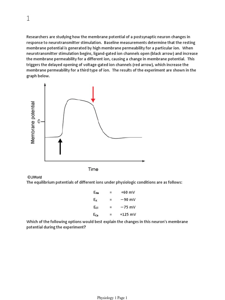 Questions Explanation | PDF | Membrane Potential | Action Potential