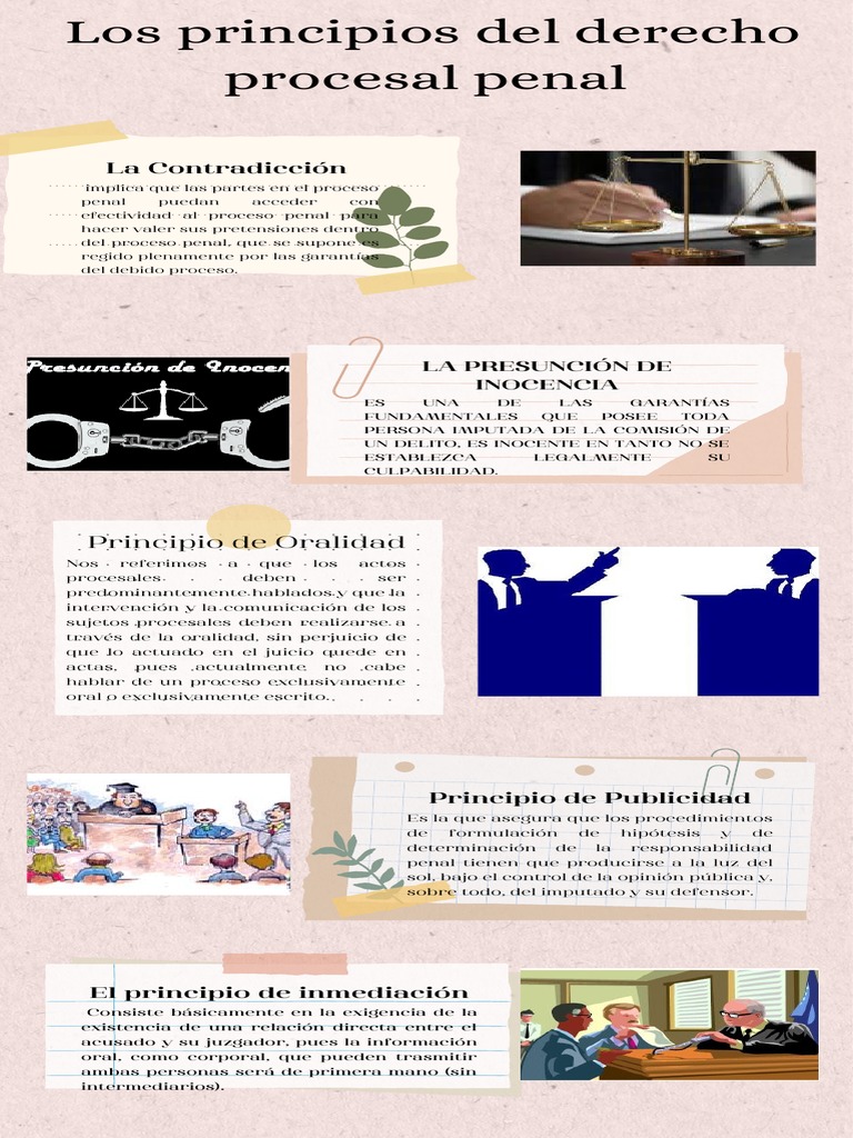 Infografía de Los Principios Del Derecho Procesal Penal | PDF