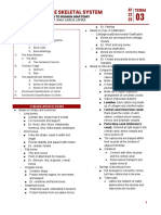 Comprehensive List of 206 Human Bones | PDF | Vertebra | Hand