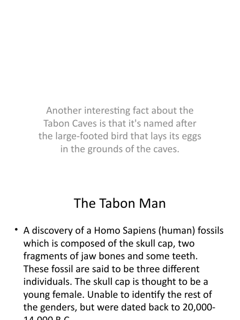 The Tabon Caves | PDF