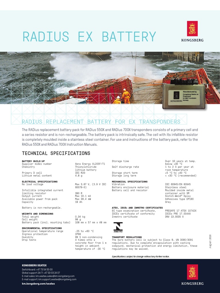 Datasheet Radiusexbattery | PDF | Energy Conversion | Electrical Engineering