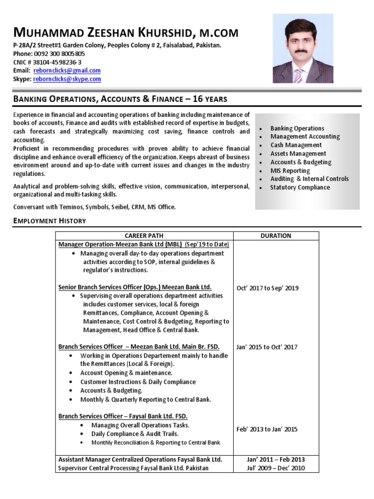 Zee CV | PDF | Audit | Internal Control