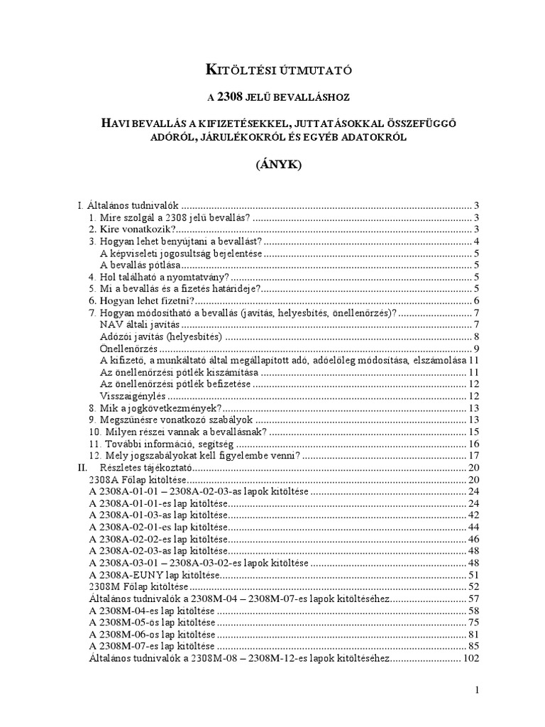 2308 Kitöltési Útmutató - 7.0 | PDF