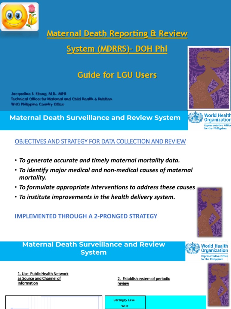 MDRRS - Guide For LGU Users - PHL | PDF