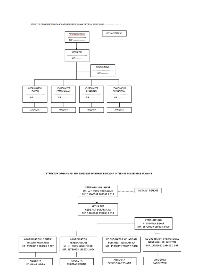 Struktur Organisasi Tim Tanggap Darurat Bencana Internal Puskesmas ...