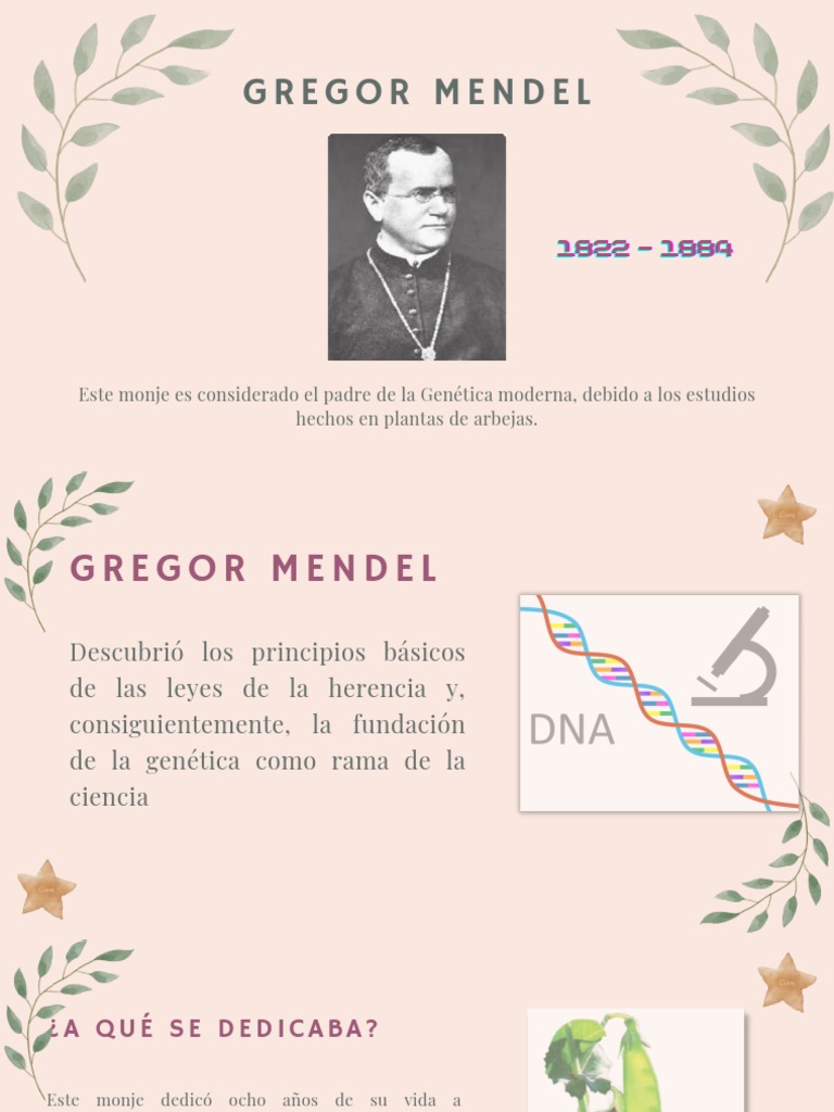 Historia de Gregor Mendel P4 | PDF | Evolución biológica | Biología