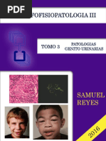 Niveles Axilares de Berg | PDF | Finanzas y dinero