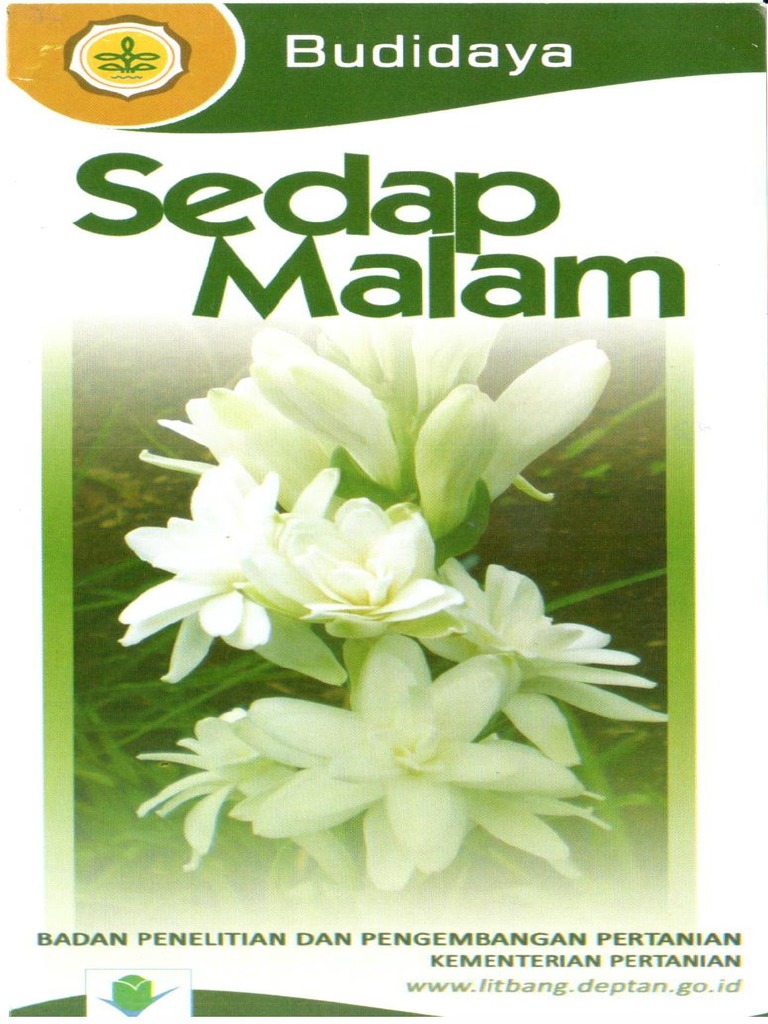 Budidaya Sedap Malam | PDF